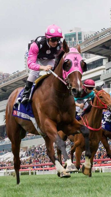 Our Functions - Management Trainee Programme - The Hong Kong Jockey Club