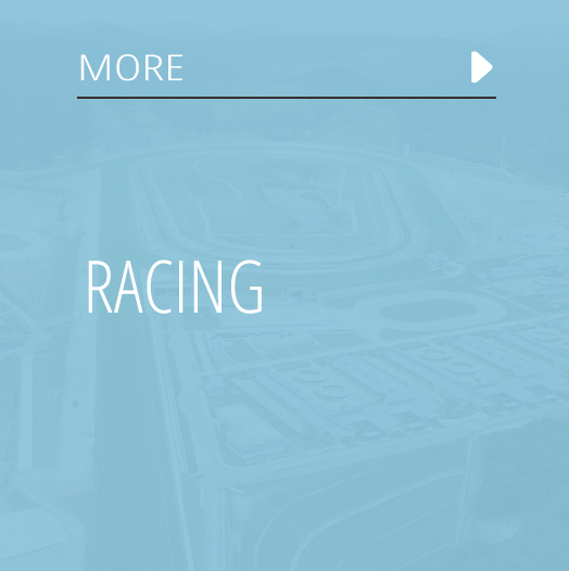 Business Functions - Management Trainee Programme - The Hong Kong ...