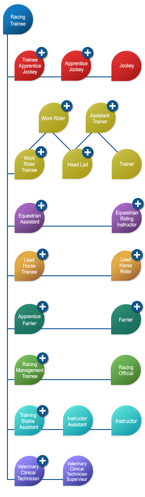 How to become a Racing Trainee - Racing Trainee Recruitment - The Hong ...