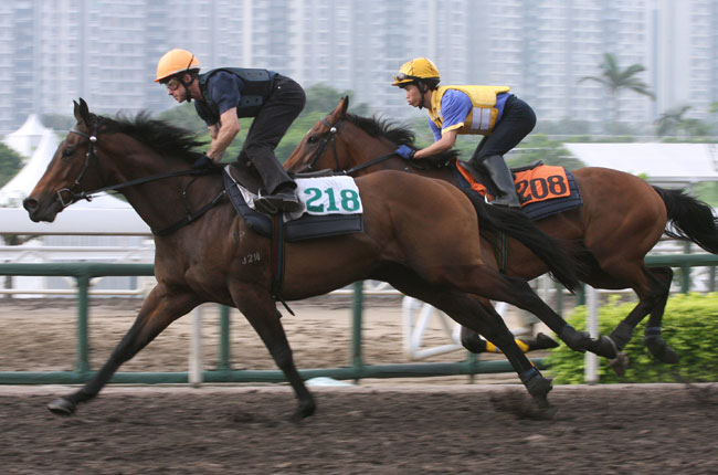 How to become a Racing Trainee - Racing Trainee Recruitment - The Hong ...