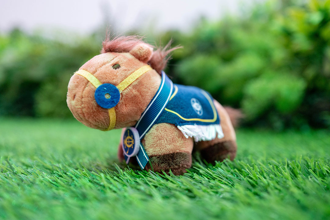 Hong Kong Sevens - With You - The Hong Kong Jockey Club